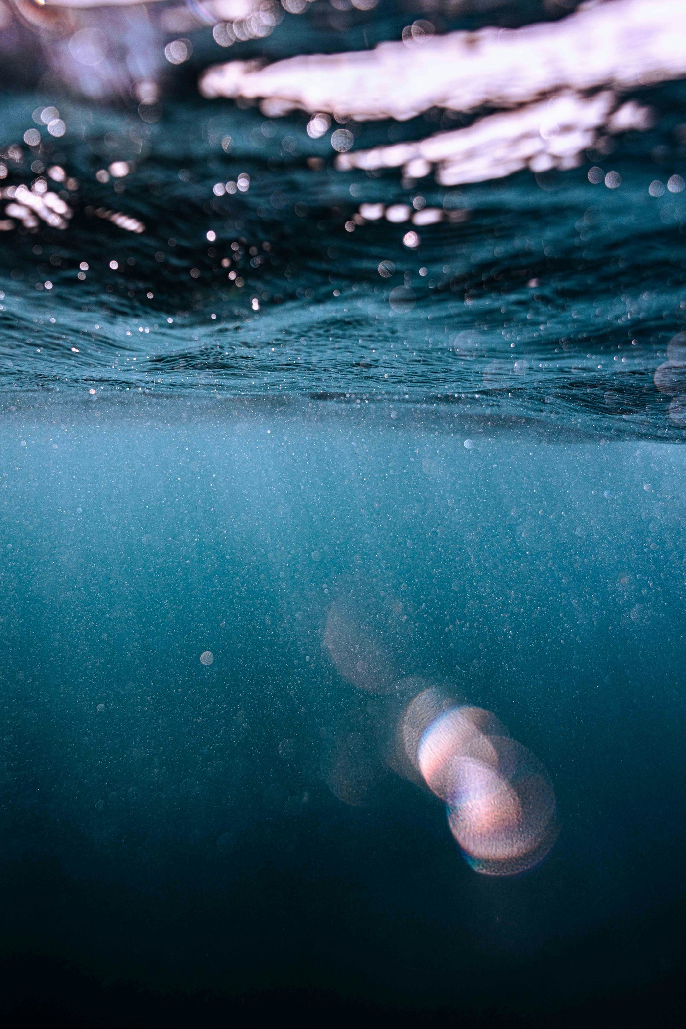 ERP Solutions for the Seafood Industry | Pearl Group